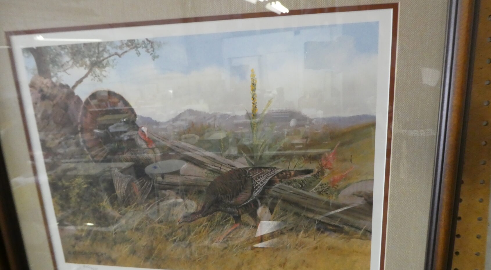 The Don and Ann Baures Estate Online Only Auction - United Country ...