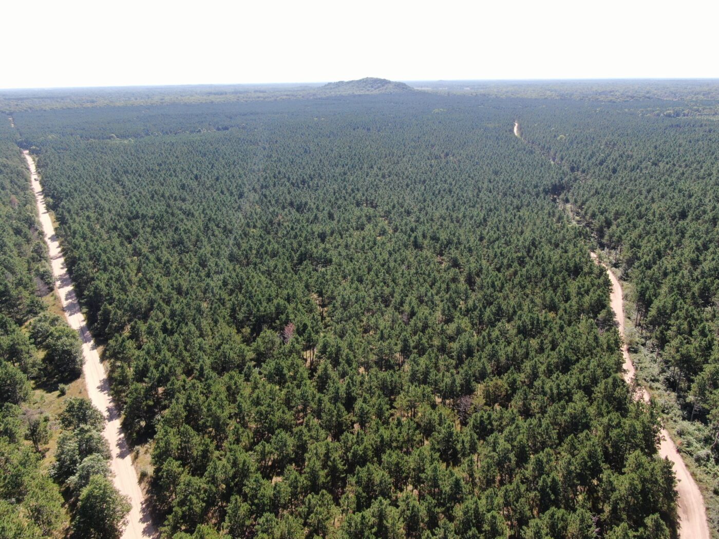 77-acre timber tract in the Town of Rome - United Country Hamele ...